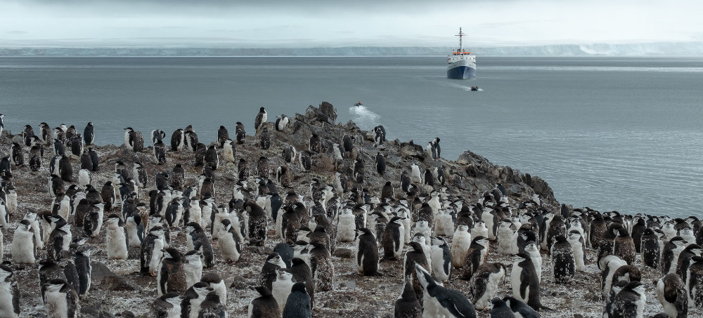 Action for Antarctica: Saving the World's Last Great Wilderness