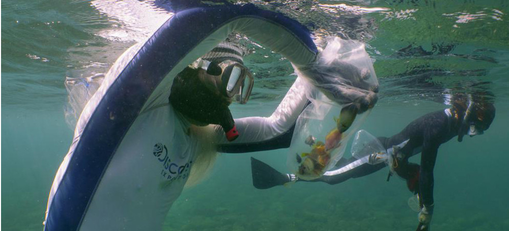 Sparkling Fish, Murky Methods: A Look Inside the Global Aquarium Trade