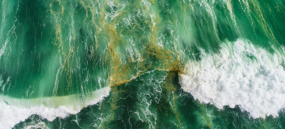 The Ocean Is Turning Green. Yes, It's Climate Change.