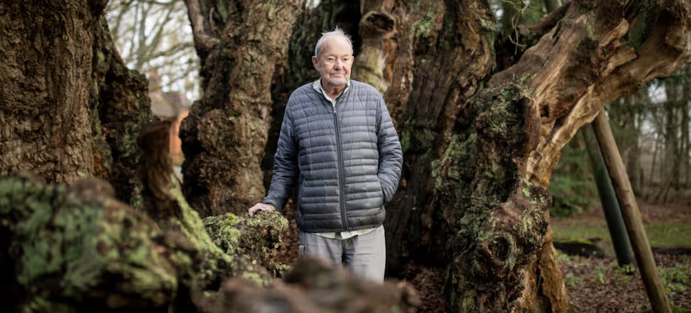 ‘The Trees Are Trying to Tell Us Things’: The Ecologist Championing ...