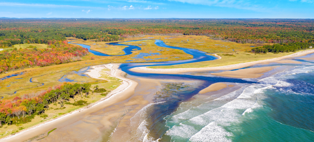 Study Finds Alarmingly High Levels of PFAS Contamination in Small Estuaries