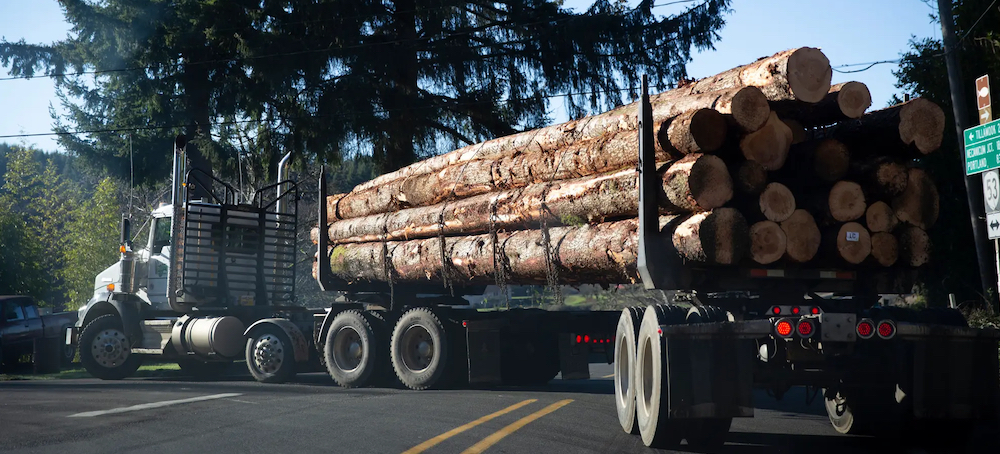 The Oregon Timber Industry Won Huge Tax Cuts in the 1990s. Now It May ...