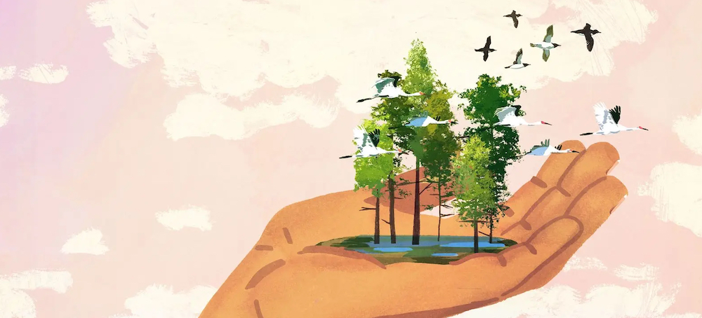 Unnatural Selection: As the Climate Changes, Many Species Are Teetering ...