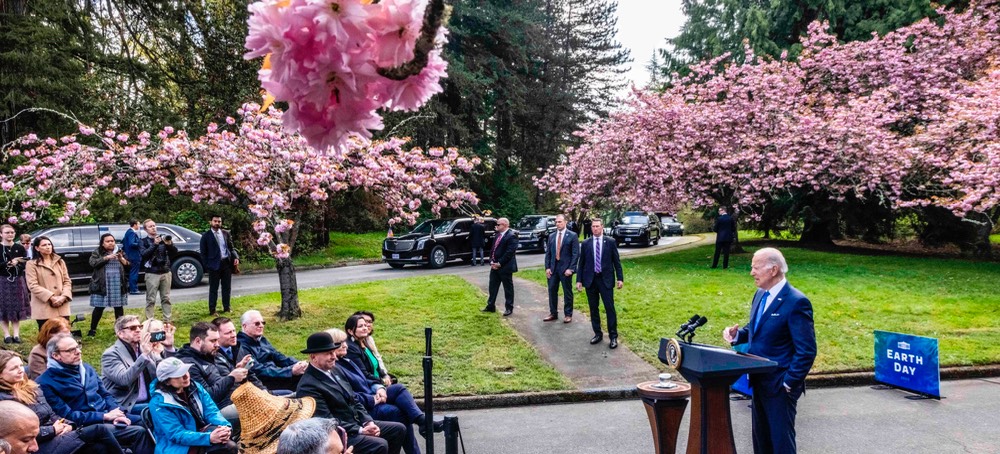 Despite Biden’s Promise to Protect Old Forests, His Administration ...