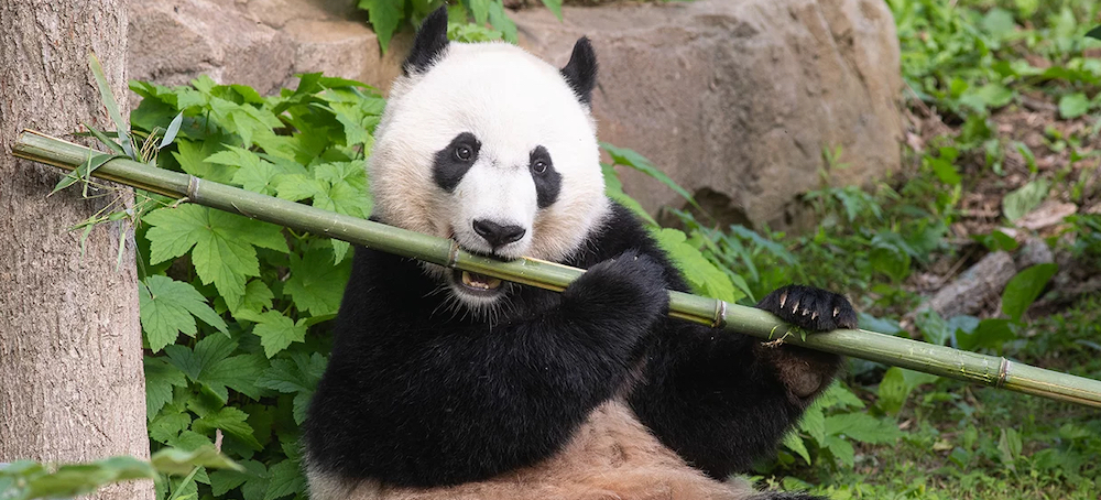 Plants Are Becoming Less Nutritious Because of Climate Change ...