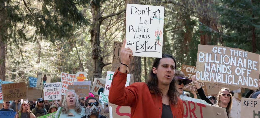 Trump Orders Swathes of US Forests to Be Cut Down for Timber