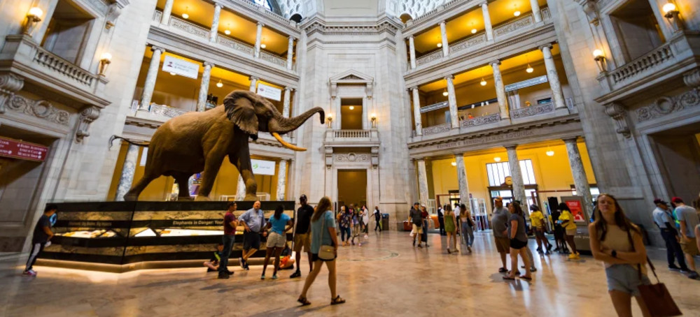A Walk Through a Smithsonian Museum Reveals American Genius and Cruelty ...