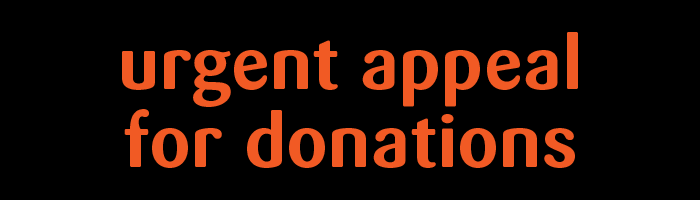 How 19th-Century Pineapple Plantations Turned Maui Into a Tinderbox